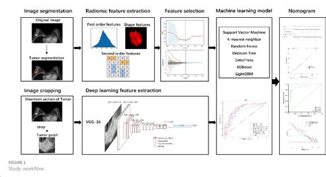 Figure 1 From A Nomogram Based On Radiomics Signature And Deep Learning Signature For