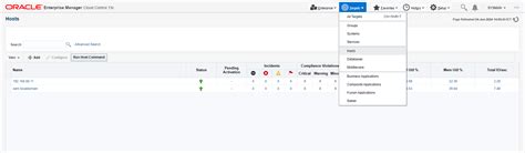 Qu N Tr Oracle Database V I Oem Add Database To Oracle Enterprise