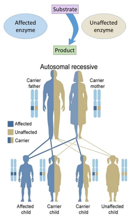 Genetic Disorder Wikipedia