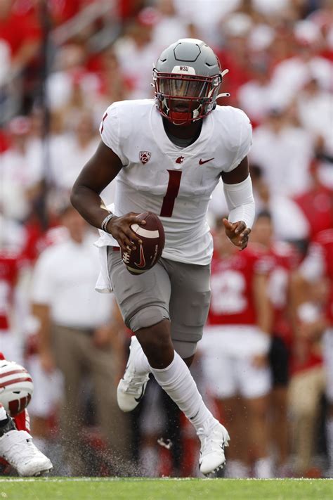 California Golden Bears Vs Washington State Cougars Prediction 101