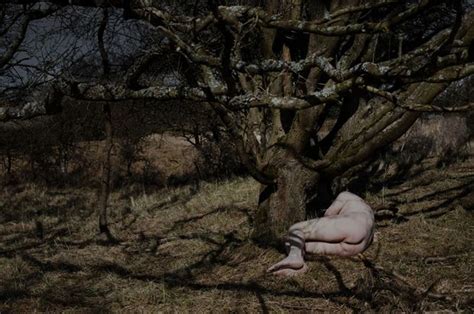 Model Society Images