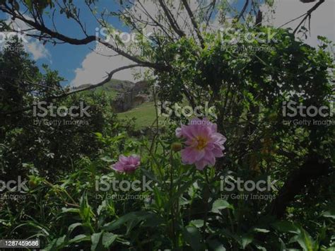 남아프리카 공화국과 레소토 왕국 사이의 드라켄스버그 산 0명에 대한 스톡 사진 및 기타 이미지 0명 경관 경사면 Istock