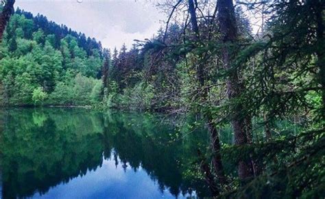 ძამას ხეობა ბატეთის ტბა ყინწვისი ორთუბანი სარკინეთი შიდა ქართლი 0 Gel ჯეორჯიკა ვოიაჟი