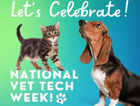 Vet Tech Week 2024 Events Arly Philipa