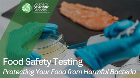 Microbiological Food Safety Testing To Keep Your Food Contaminant Free Southern Scientific Ireland