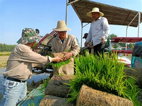 基层工作 淮南市潘集区人民政府