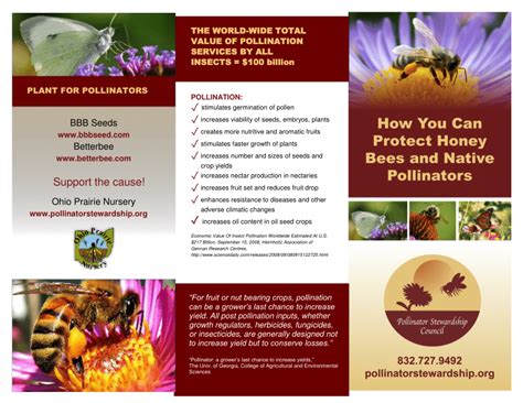 Pdf How To Protect Bees From Pesticides