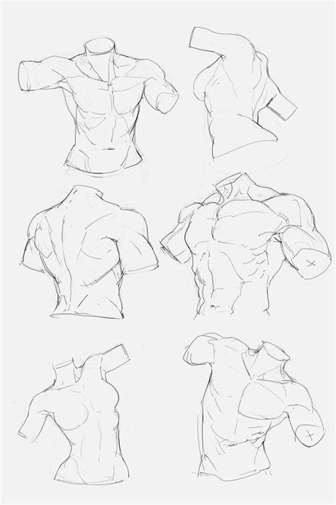 Pin By Кира On Галерея Male Art Reference Human Anatomy Art Sketches