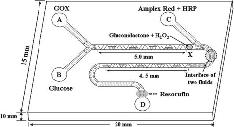 Schematic Of Microreactor For The Spectroscopic Detection Of