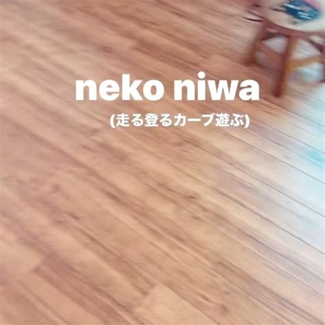 猫庭sns猫庭チャンネル 【公式】猫庭ホームページ｜nekoniwa