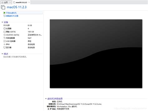 windows环境下vmware16 1 pro环境下安装macos hestyle s cdr vmware csdn博客