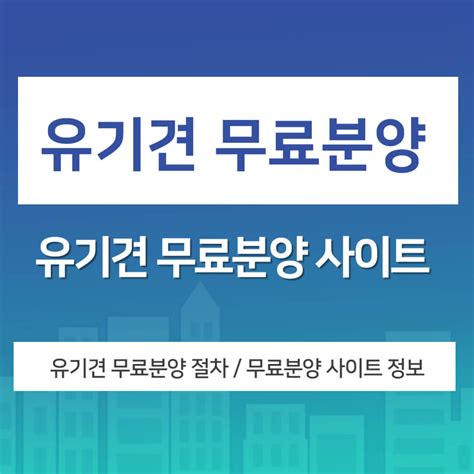 유기견 무료분양 사이트 및 전국 유기견 보호센터 연락처