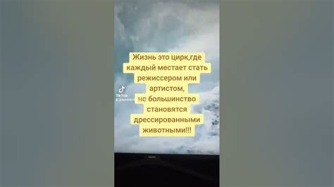 Люди и животные Youtube