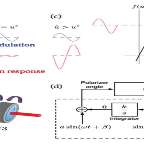 Schematic Diagram For The Polarization Angle Effects Adapted From 13
