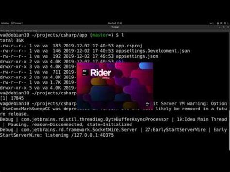 How To Create Publish Deploy Host An Asp Net Core App On Debian Linux With Apache Youtube
