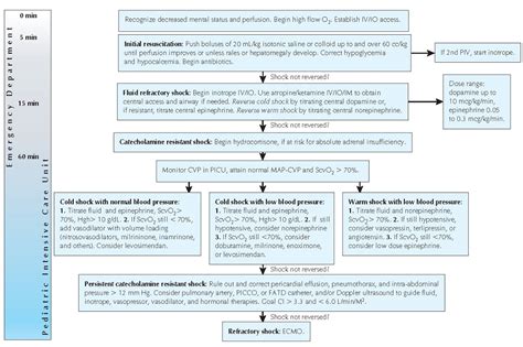 Shock Pediagenosis