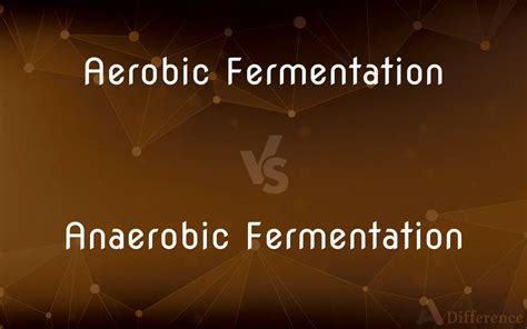 Aerobic Fermentation Vs Anaerobic Fermentation Whats The Difference