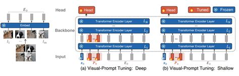 一文了解prompt Learning在计算机视觉领域进展 知乎