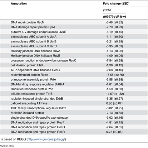 QRT PCR Of DNA Repair Related Genes In The Dr0997 Mutant Relative To