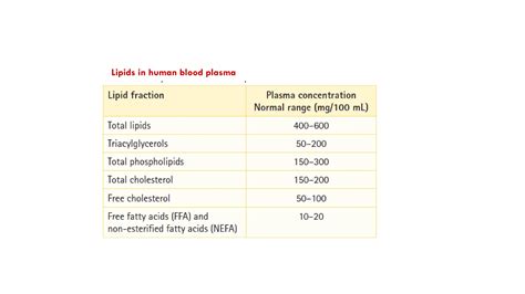 Triglyceride Metabolismpptxmetabolismpptx Pptx