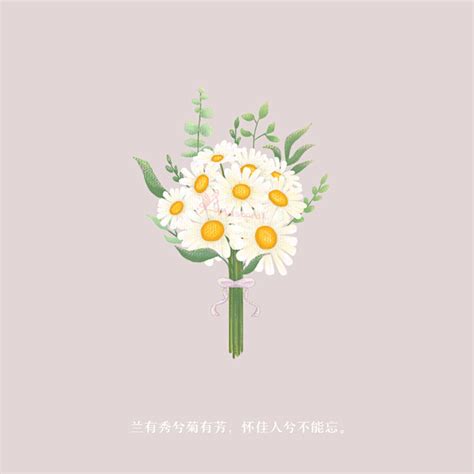 花小雏菊