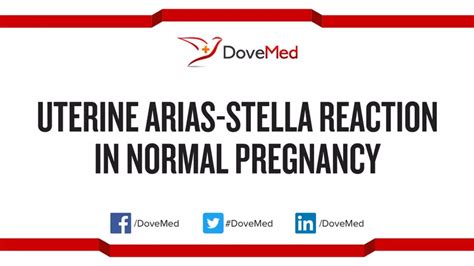 Uterine Arias Stella Reaction In Normal Pregnancy DoveMed