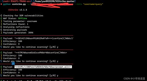 Xsstrike工具的安装及使用（包括实战应用） Csdn博客