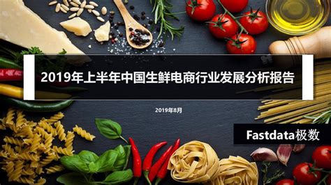 Fastdata极数 2019年上半年中国生鲜电商行业发展分析报告