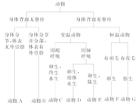 题目 如图是蝗虫的外部形态结构示意图 请分析回答下列问题 1 蝗虫的身体分为 一 二 三 三部分 其中足和翅都长在