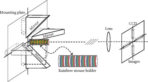 Figure 1 From The First Bioluminescence Tomography System For Simultaneous Acquisition Of