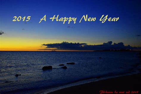 2015年の幕開け ・・・・ フレンチブルドッグ ☆ Le Ventsud