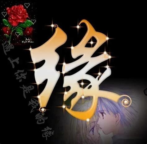 不关怀就不会有期待不期待就不会有伤害 知乎