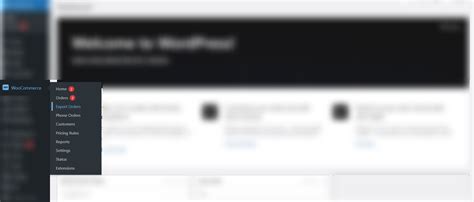 How To Set Up Advanced Order Export For Woocommerce Beginners Guide Best Woocommerce Plugins