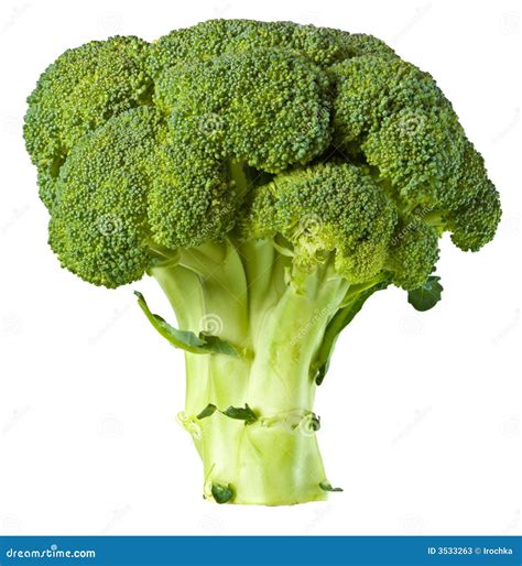 Broccoli Stock Photos Image 3533263