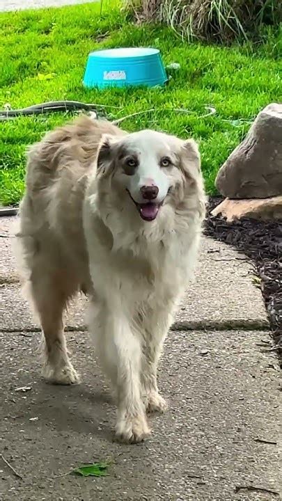 Molley Is Cute Youtube