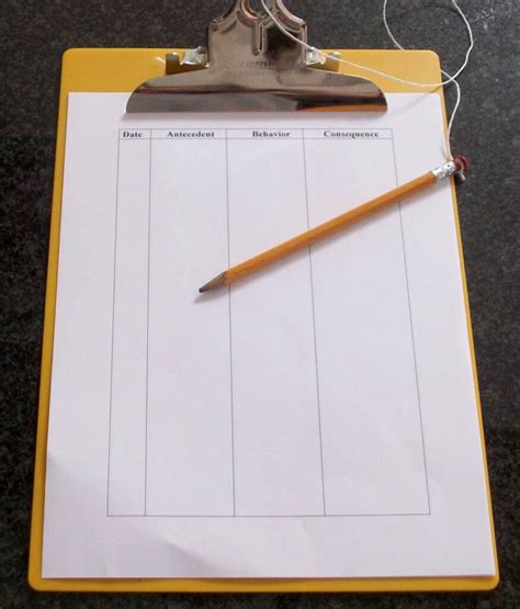 Charting Behaviors BehaviorChart Net