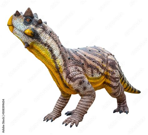 Psittacosaurus