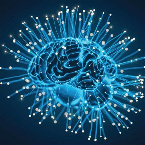 Unlock Your Brains Potential