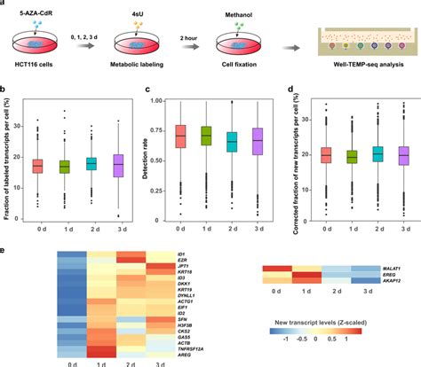 Well Temp Seq Characterizes The Transcriptome Dynamics Of Hct116 Cells Download Scientific