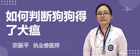 如何判断狗狗得了犬瘟 蘑菇宠医