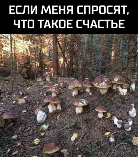 Смешные мемы с картинками Приколы