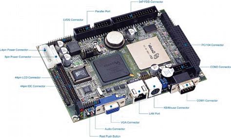Cpu Shack Cpu Collection Museum Amd K Type Id Guide