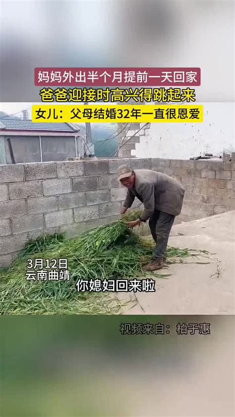 妈妈提前回家爸爸高兴得跳起来