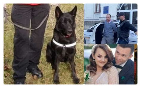 Criminalul de la Bran a fost găsit de o cățelușă polițistă Ce l a dat