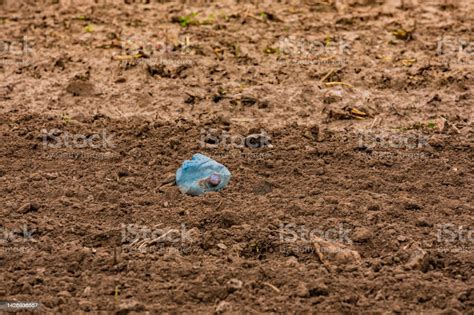 쓰레기통에 의한 환경 현장의 플라스틱 병의 불법 쓰레기 처리 0명에 대한 스톡 사진 및 기타 이미지 0명 Habitat For Humanity Microplastic