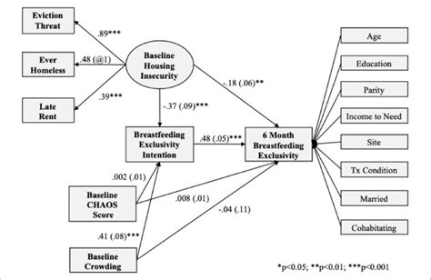 Structural Equation Model Predicting Breastfeeding Exclusivity From