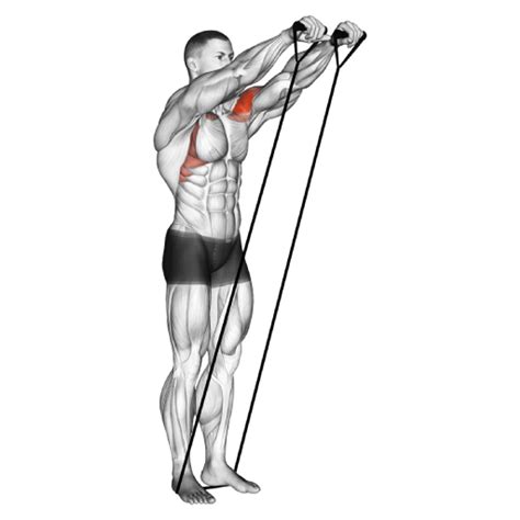 Cable Front Raise Guide Muscles Worked Tips Athlemove