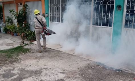 Registra Michoacán disminución del 29 en casos de dengue