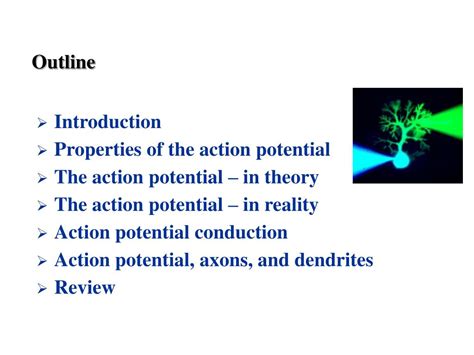 Ppt Chapter 4 The Action Potential Powerpoint Presentation Free