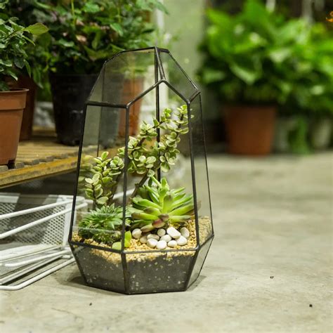 Irregular Glass Geometric Terrarium Flower Pot Tabletop Air Plant
